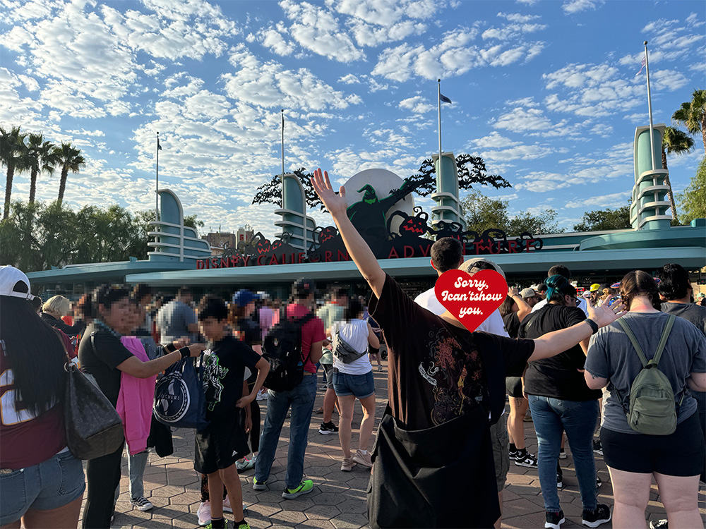 カリフォルニアディズニーはどっちがいいのか【1日に2パークまわるモデルコース2024】 – dekakeru.jp