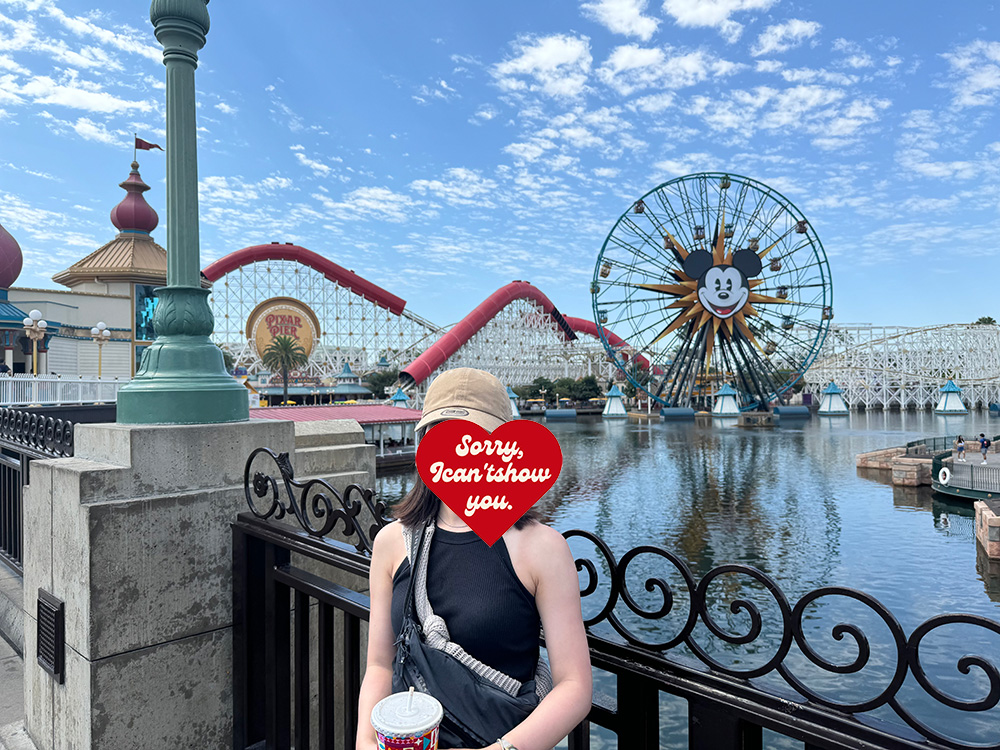 カリフォルニアディズニーはどっちがいいのか【1日に2パークまわるモデルコース2024】 – dekakeru.jp